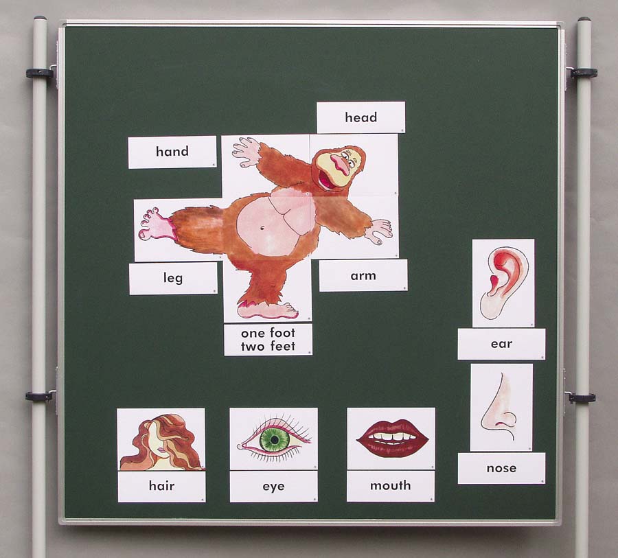 The body - Der Körper, 5305350 • Sprachen --> Bild- und Wortkarten