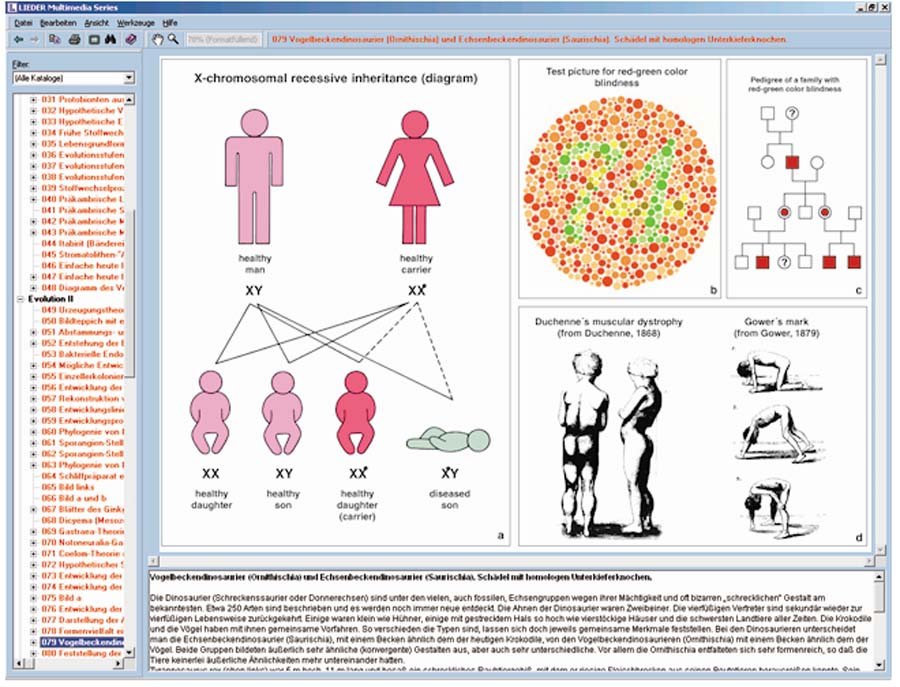 Vererbung und Genetik des Menschen Teil I, 5508726 • Biologie ...