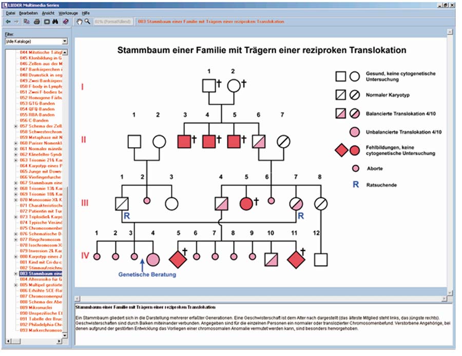 Vererbung und Genetik des Menschen Teil I, 5508726 • Biologie ...